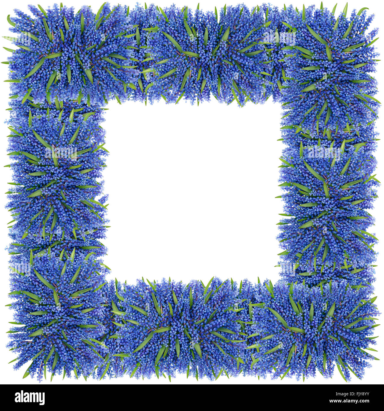 Cyan square hi-res stock photography and images - Alamy