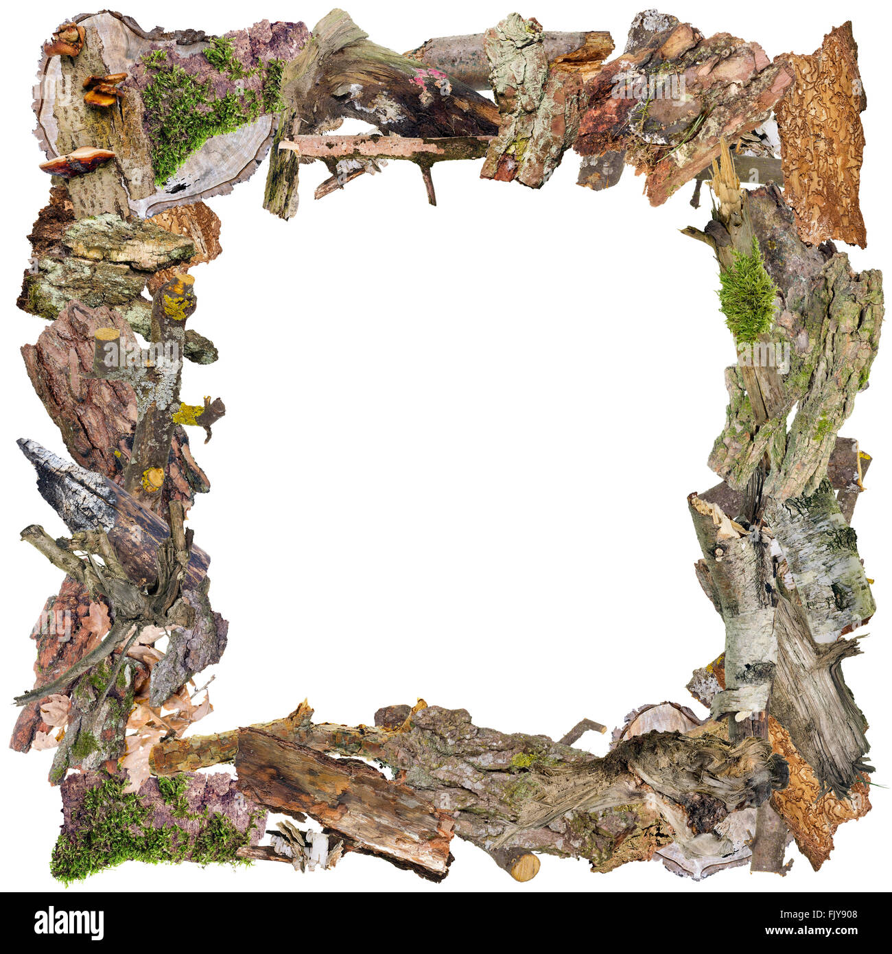 Frame Made Tree Bark Trunk High Resolution Stock Photography and Images ...