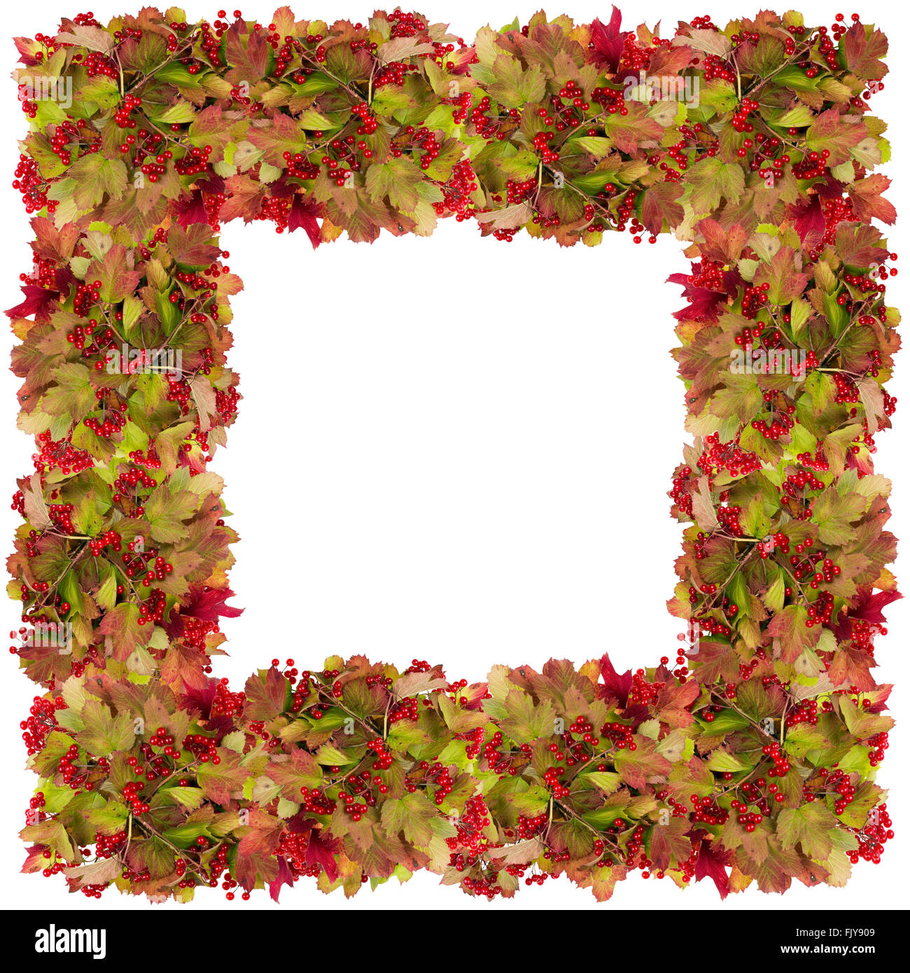Nature square photo frame is made from real bright red autumn leaves ...