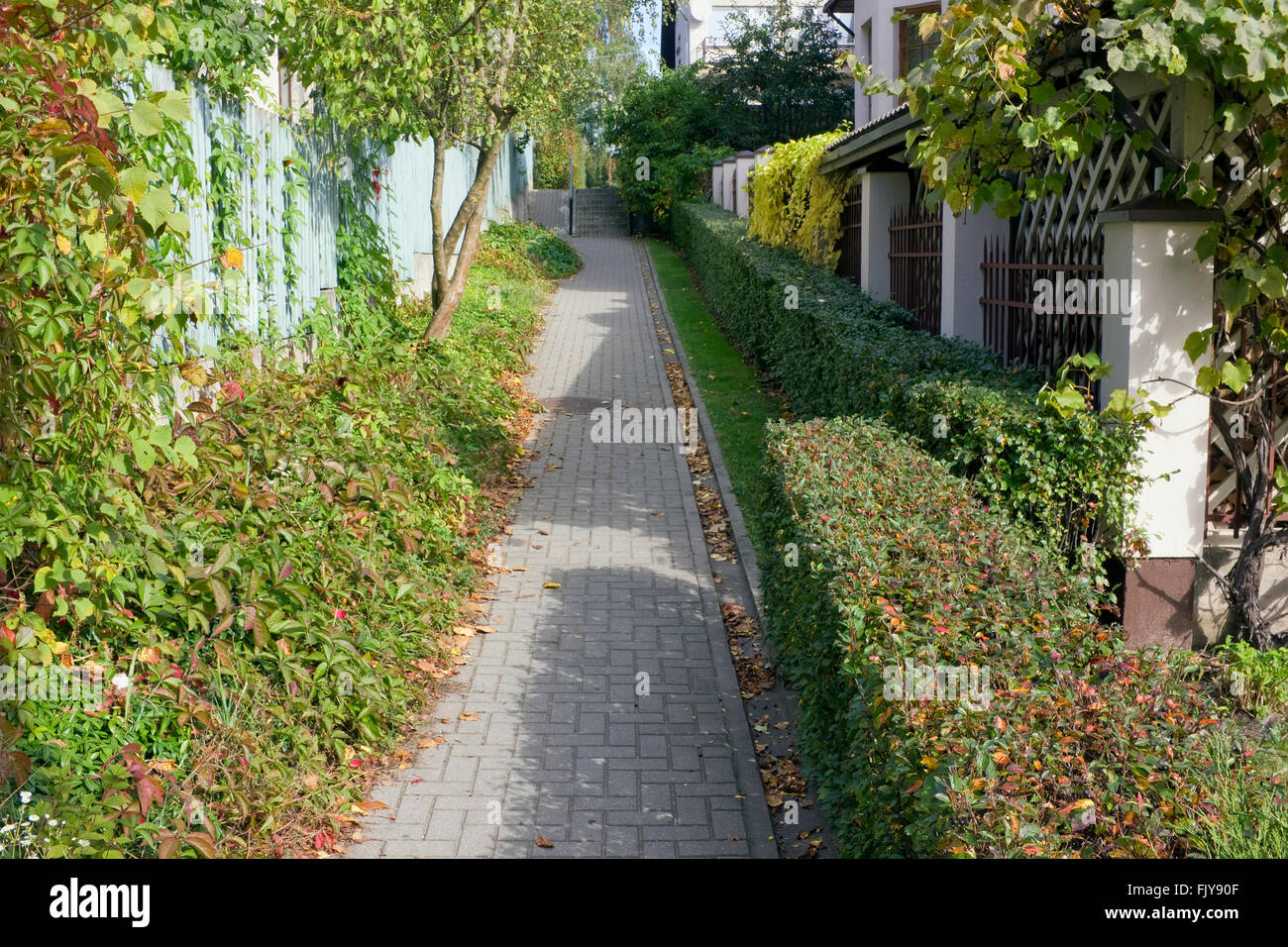 The walking path is made of rectangular concrete bricks perspective. At ...