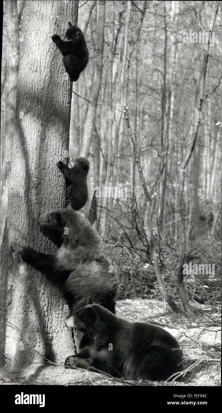 Ma pa bear look hi-res stock photography and images - Alamy