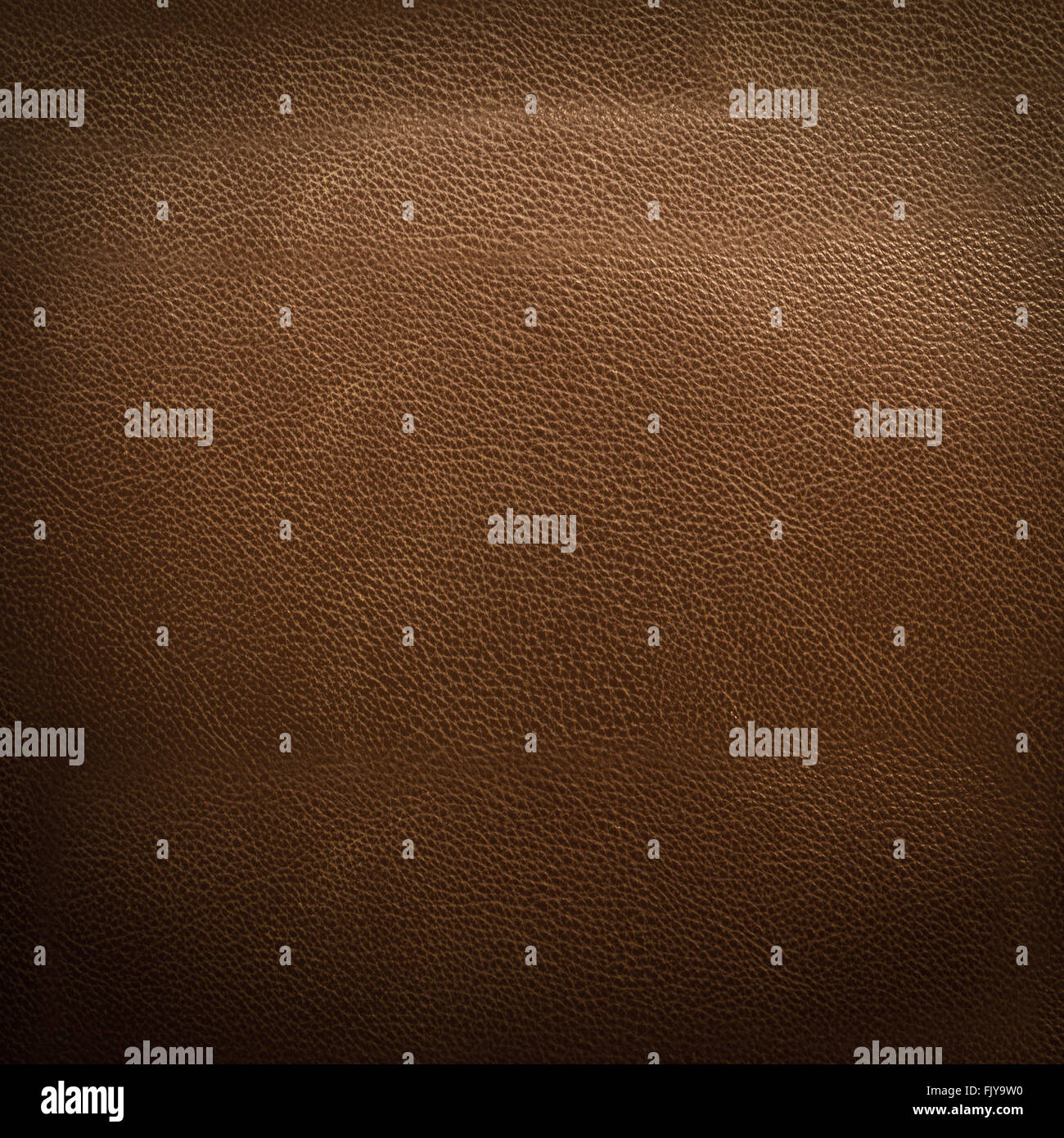 Beautiful leather hi-res stock photography and images - Alamy