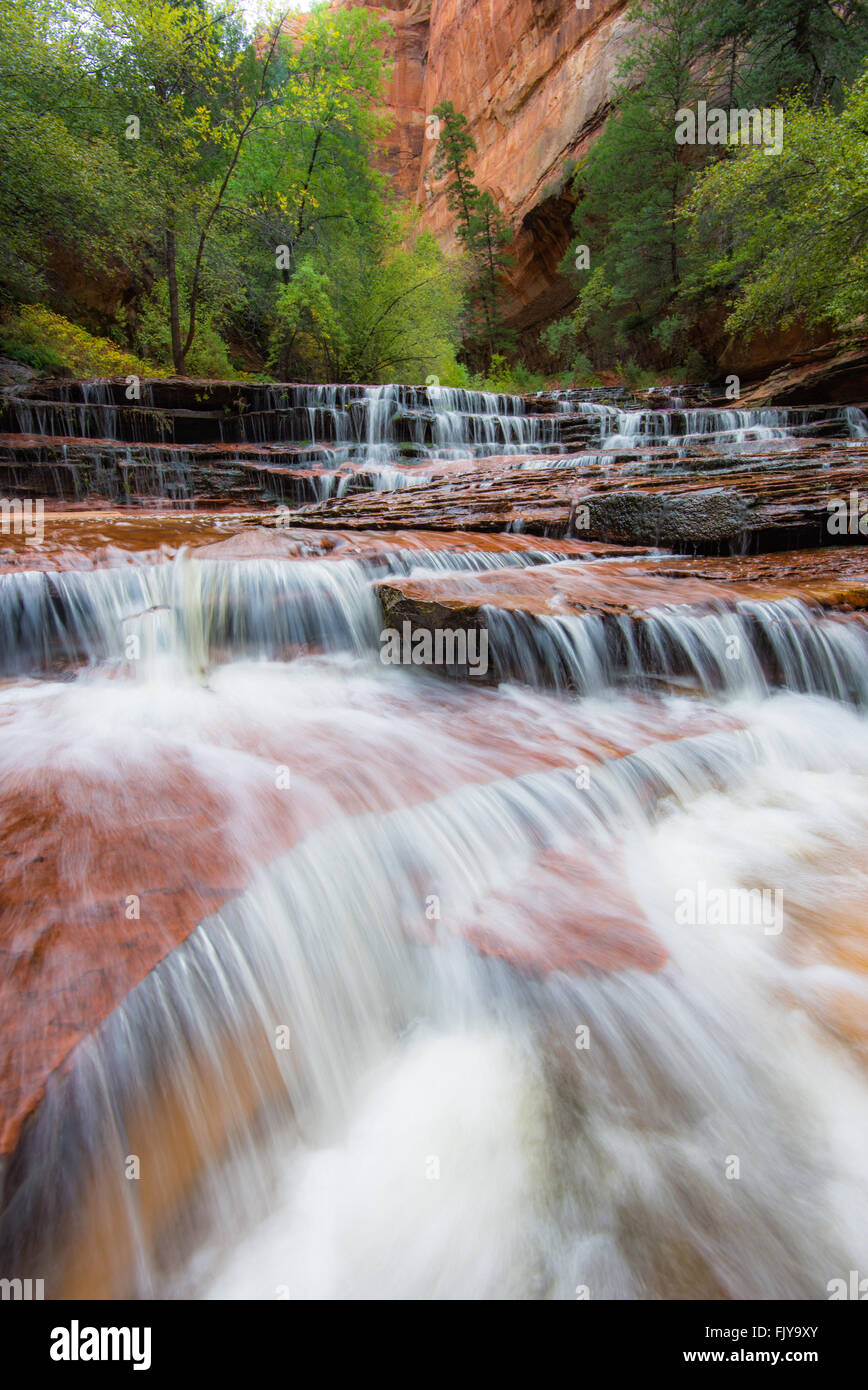 Archangel Falls on the left fork of the North Creek (Subway) trail ...