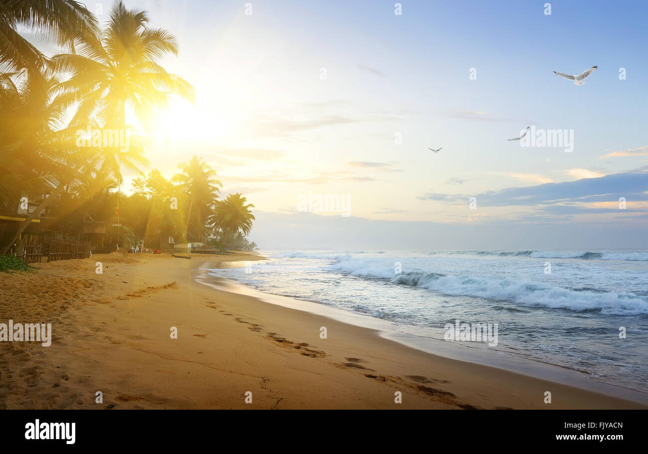 Indian ocean at sunset hi-res stock photography and images - Alamy