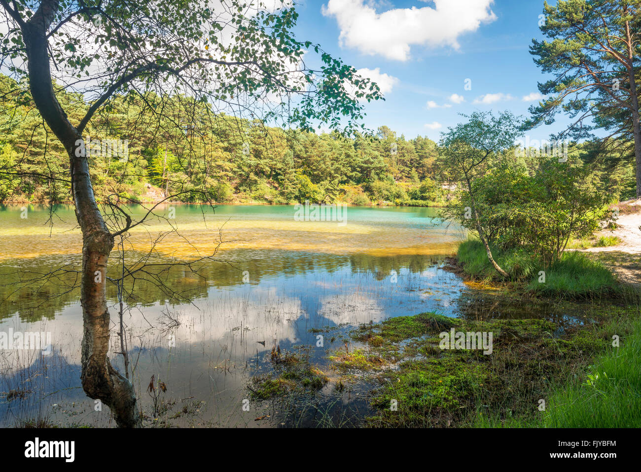 Blue Pool at Furzebrook, Dorset Stock Photo - Alamy