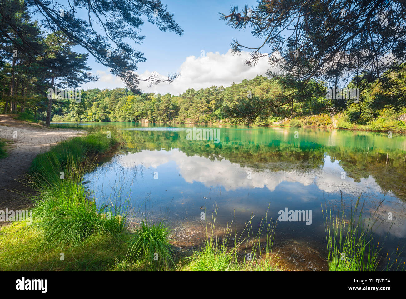 Summer Blue Pool at Furzebrook, Dorset Stock Photo - Alamy