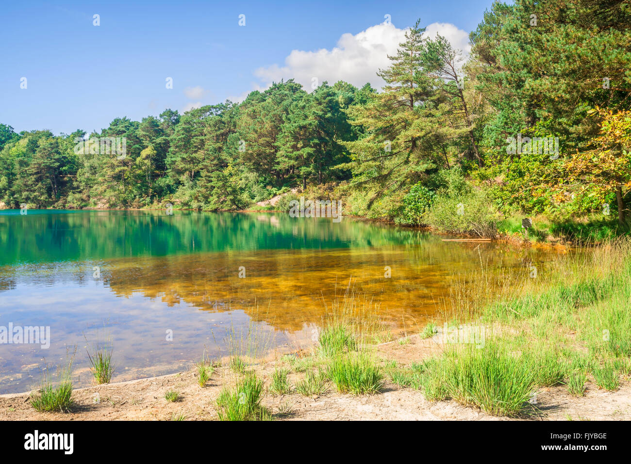 Blue Pool at Furzebrook, Dorset Stock Photo - Alamy
