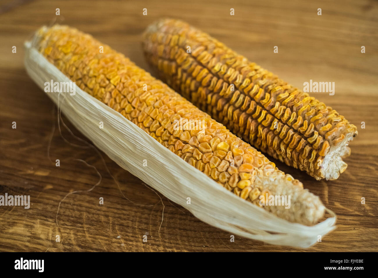 Last year harvest of corn after 6 months storing. Dry seeds ready for ...