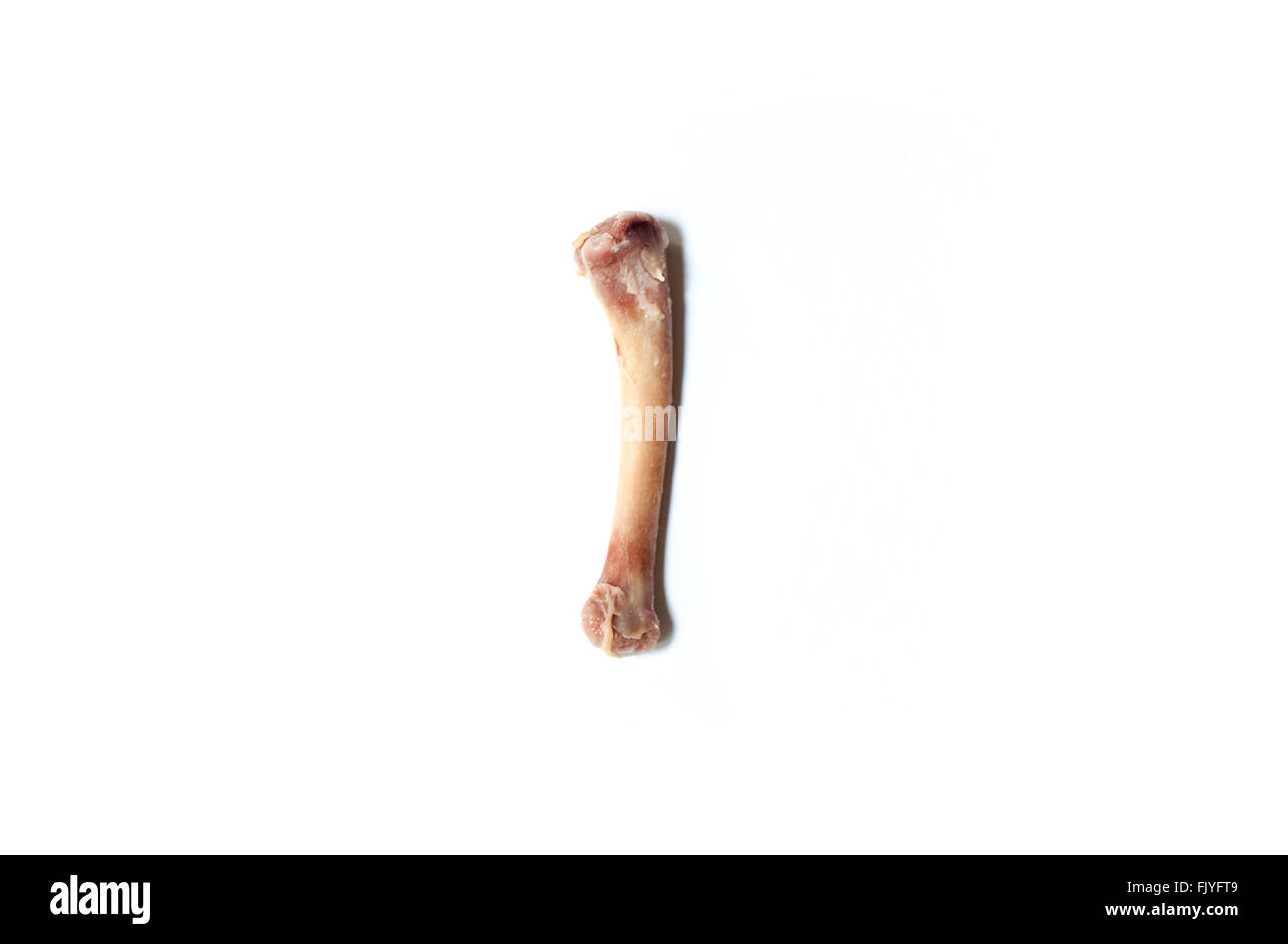 Chicken skeleton hi-res stock photography and images - Alamy