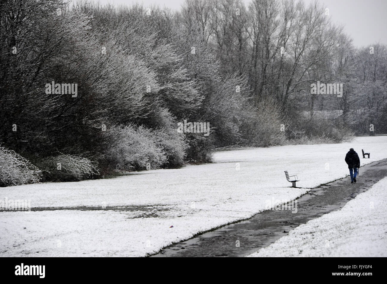 Heavy snow falling in Leverhulme Park, Bolton. Picture by Paul Heyes ...