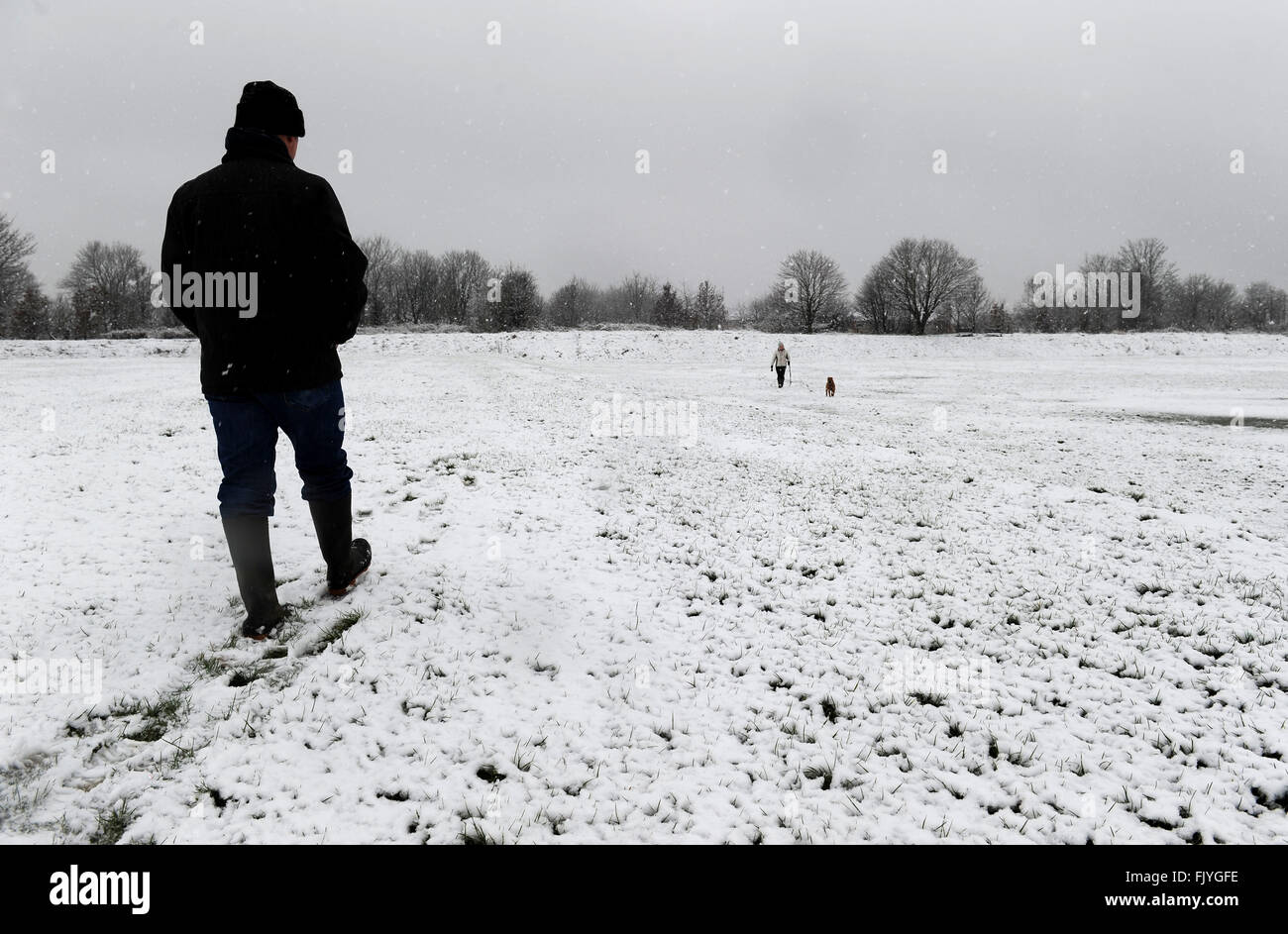 Heavy snow falling in Leverhulme Park, Bolton. Picture by Paul Heyes ...