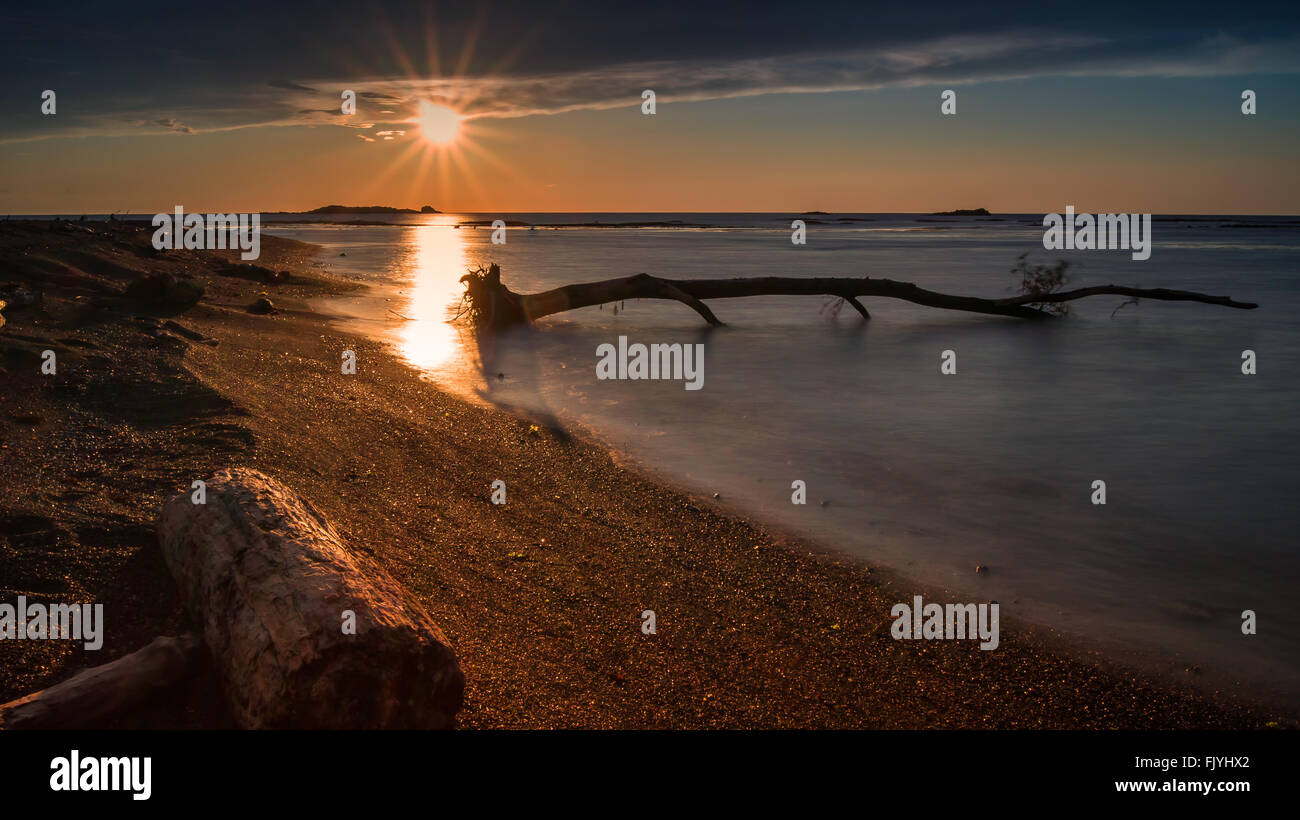 Timber beach hi-res stock photography and images - Alamy