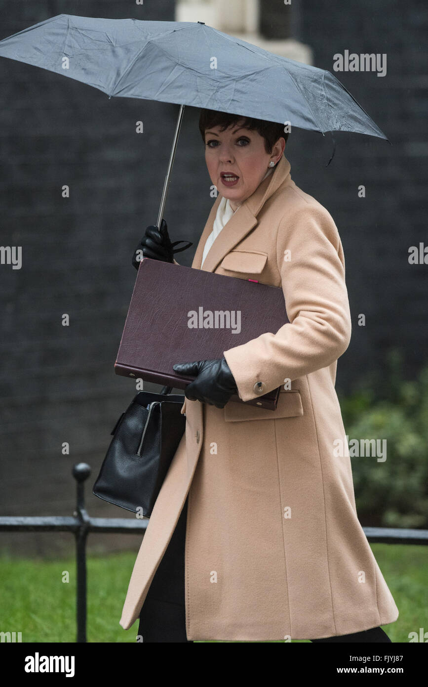 Ministers arrive for a Cabinet Meeting at 10 Downing Street. Featuring ...