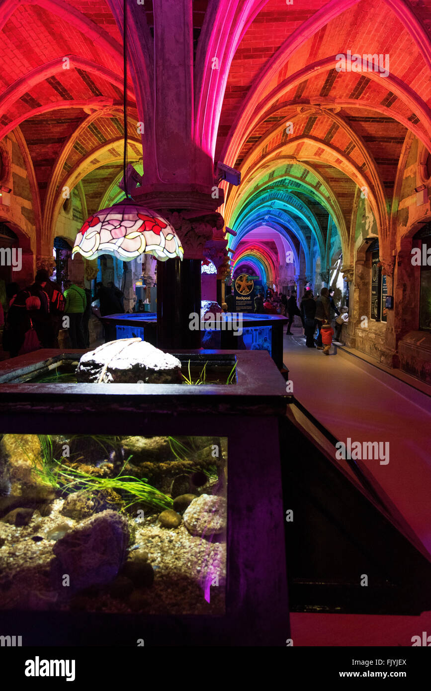 Brighton aquarium hi-res stock photography and images - Alamy