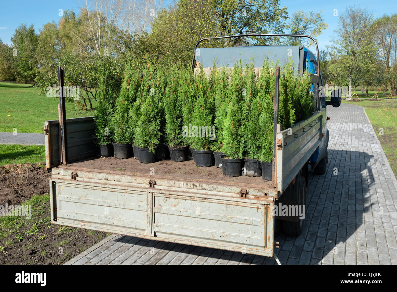 Freight car with seedlings for planting Stock Photo - Alamy