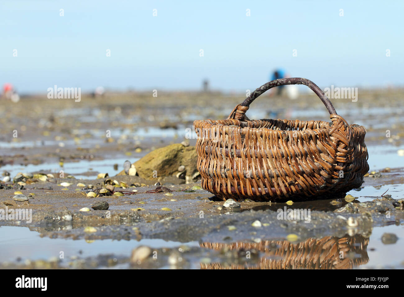 Clam basket hi-res stock photography and images - Alamy