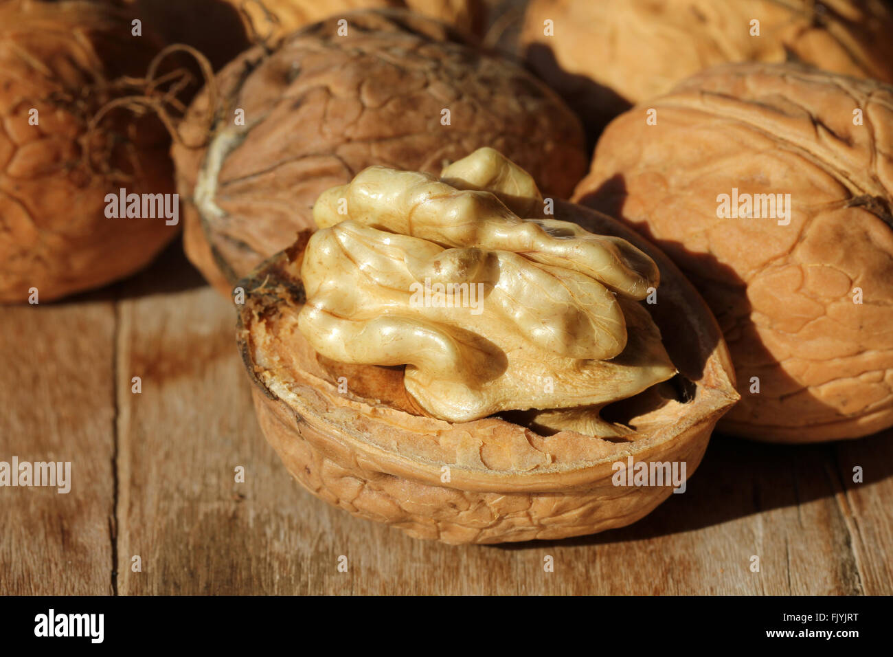 Walnut with open shell hi-res stock photography and images - Alamy