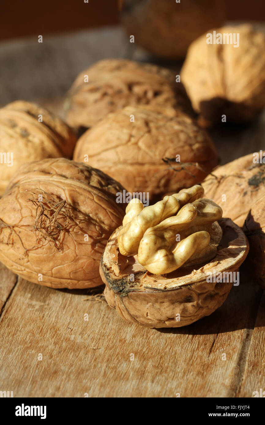 Walnut brain hi-res stock photography and images - Alamy