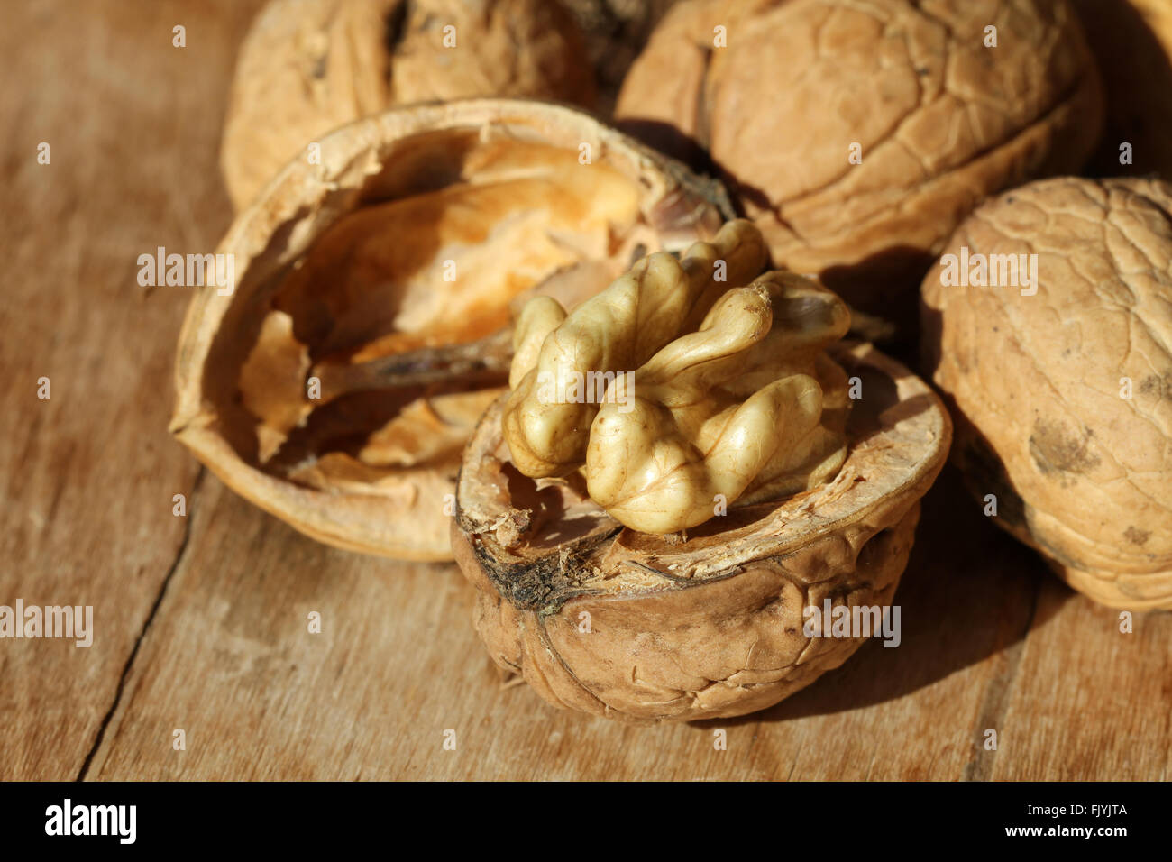 Walnut with open shell hi-res stock photography and images - Alamy