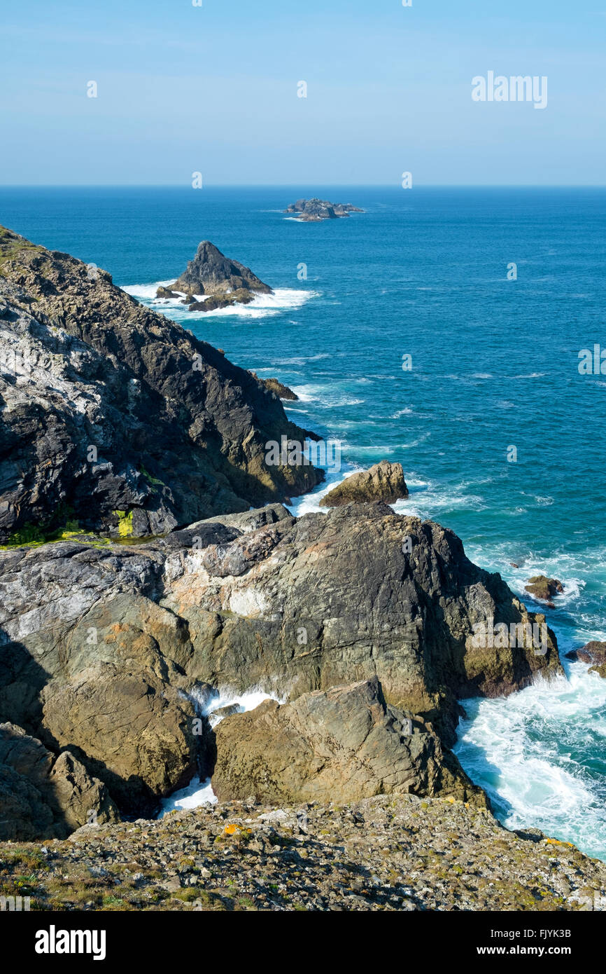 Dinas head near Padstow in Cornwall, UK Stock Photo - Alamy