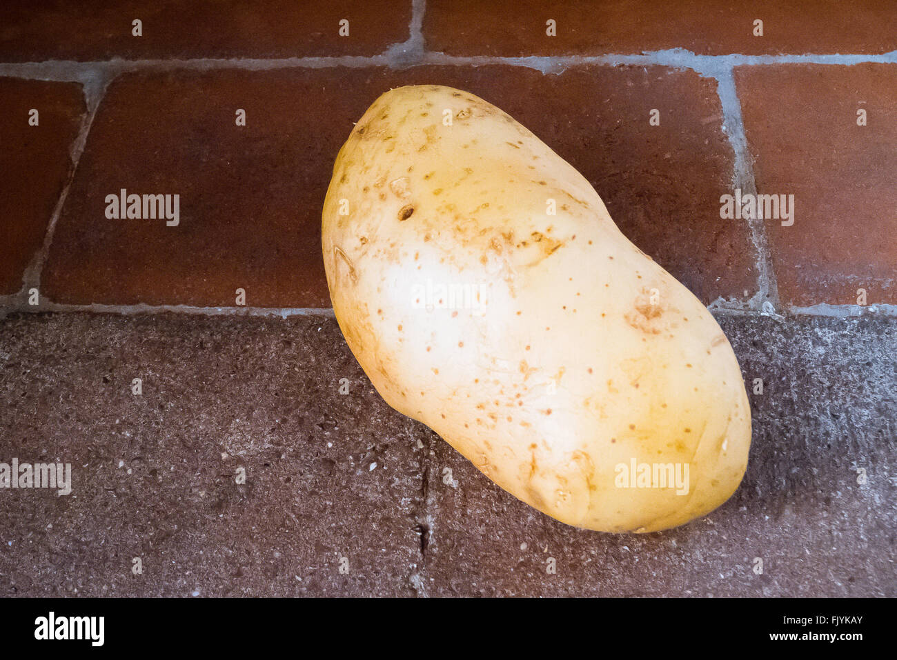 Potato close up Stock Photo - Alamy