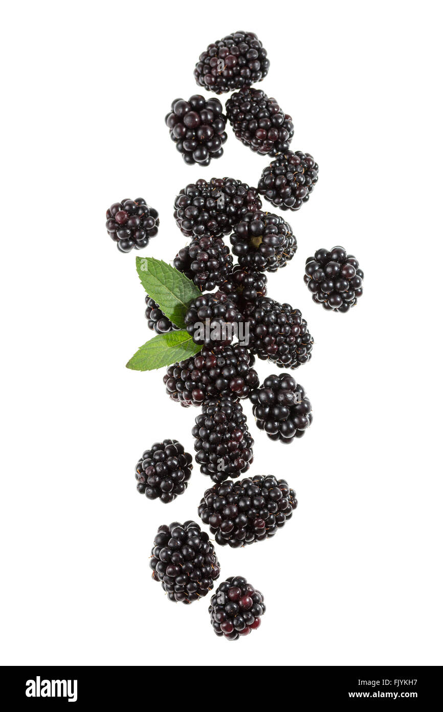 Fresh and delicious blackberries on white background Stock Photo - Alamy