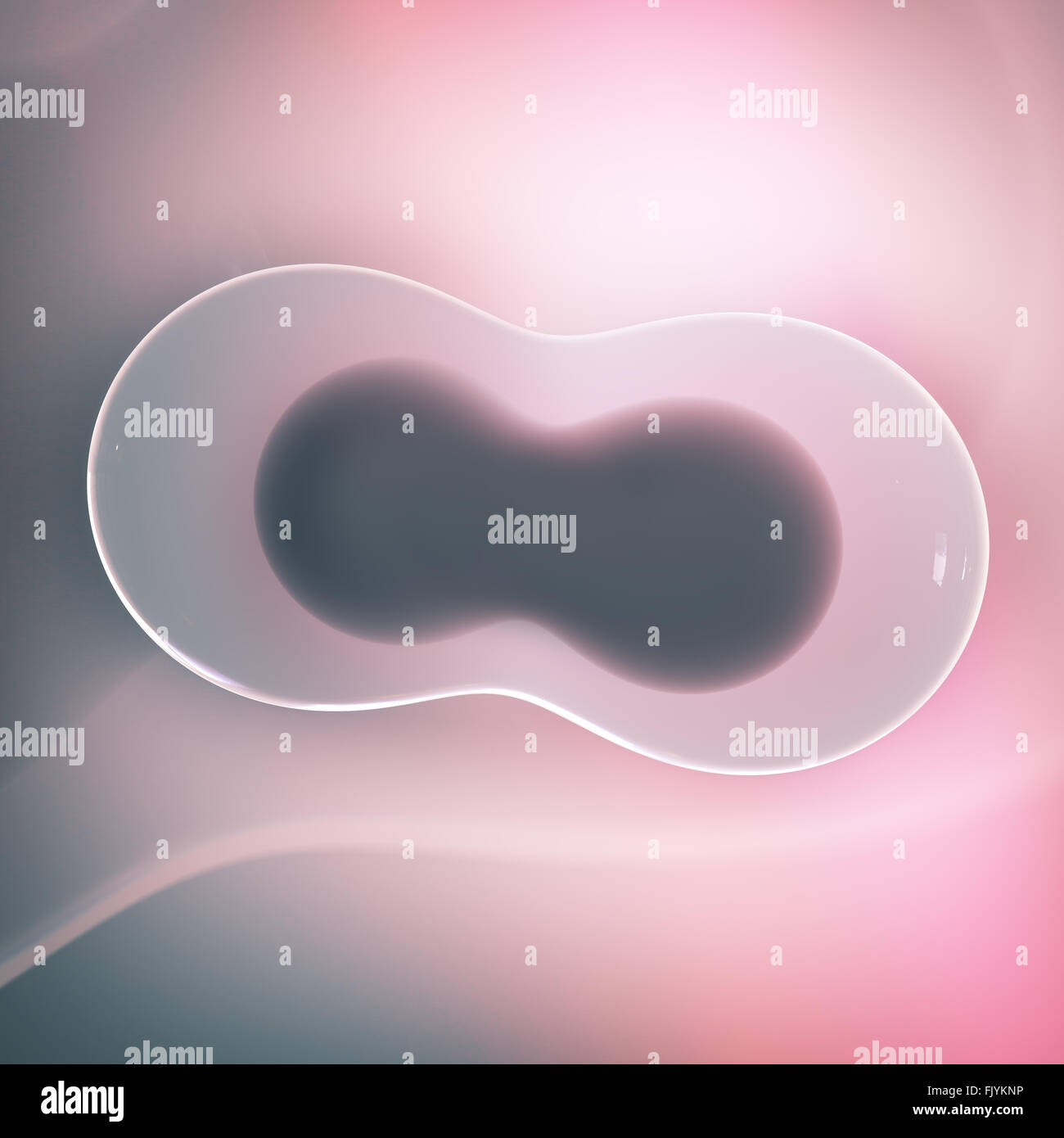 Mitosis cell division hi-res stock photography and images - Alamy