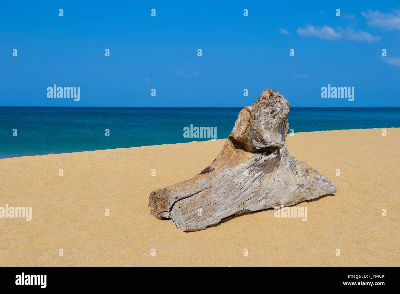 Timber on the beach Stock Photo - Alamy