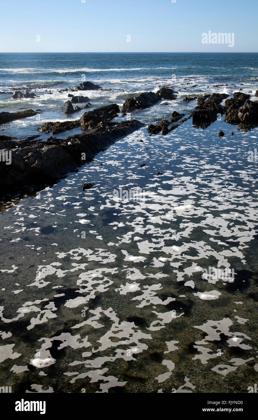 Ocean Water - Cape Town - South Africa Stock Photo - Alamy