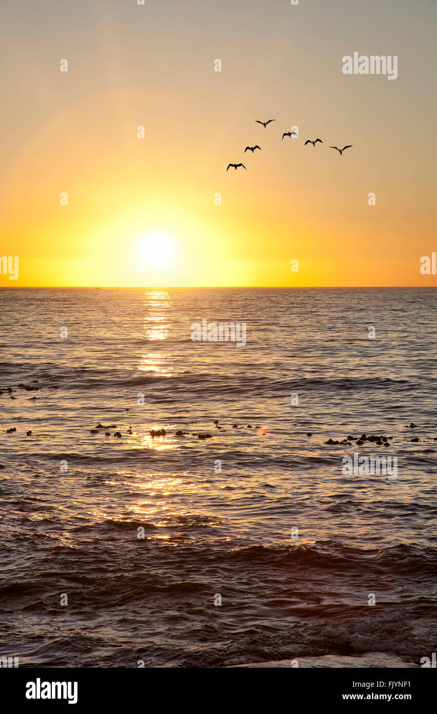 Sunset over Ocean Waves with Flock of Birds Stock Photo - Alamy