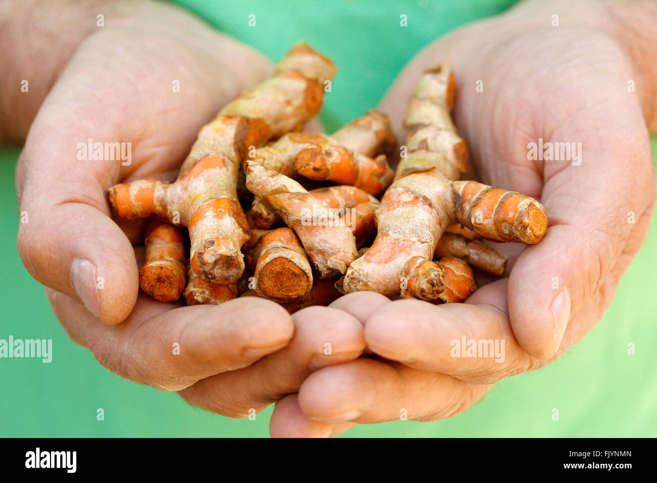 Curcuma longa hi-res stock photography and images - Alamy