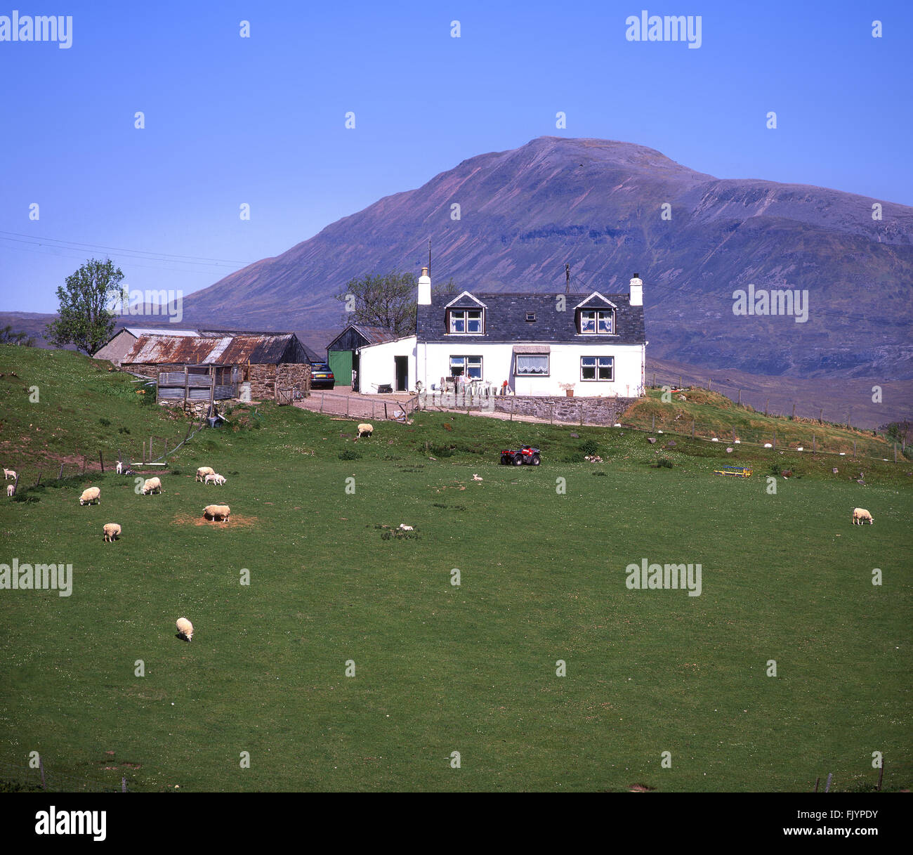Elphin hi-res stock photography and images - Alamy