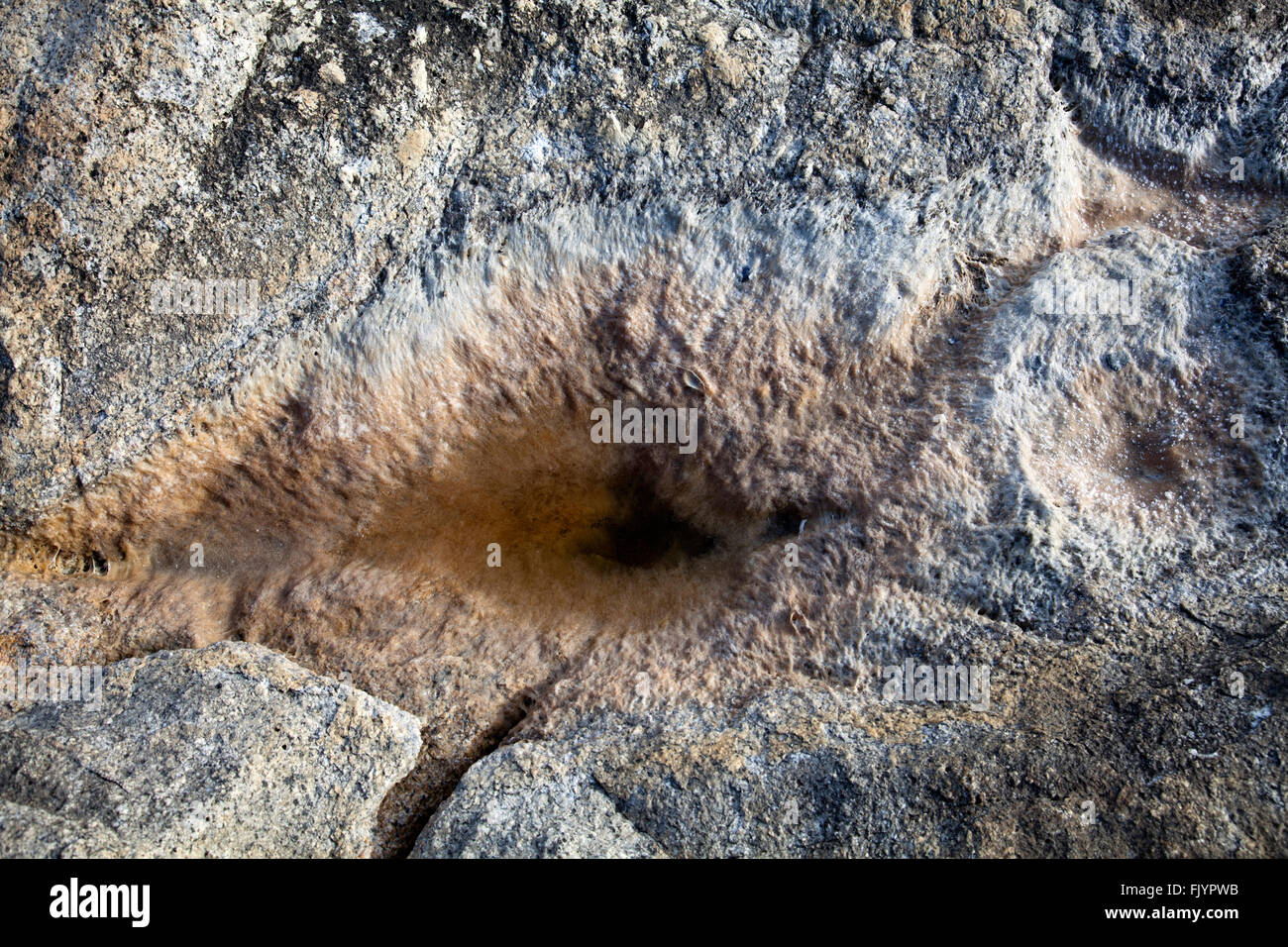 Salty Rock Pool Formations in Granite Crevice - Cape Town - South ...