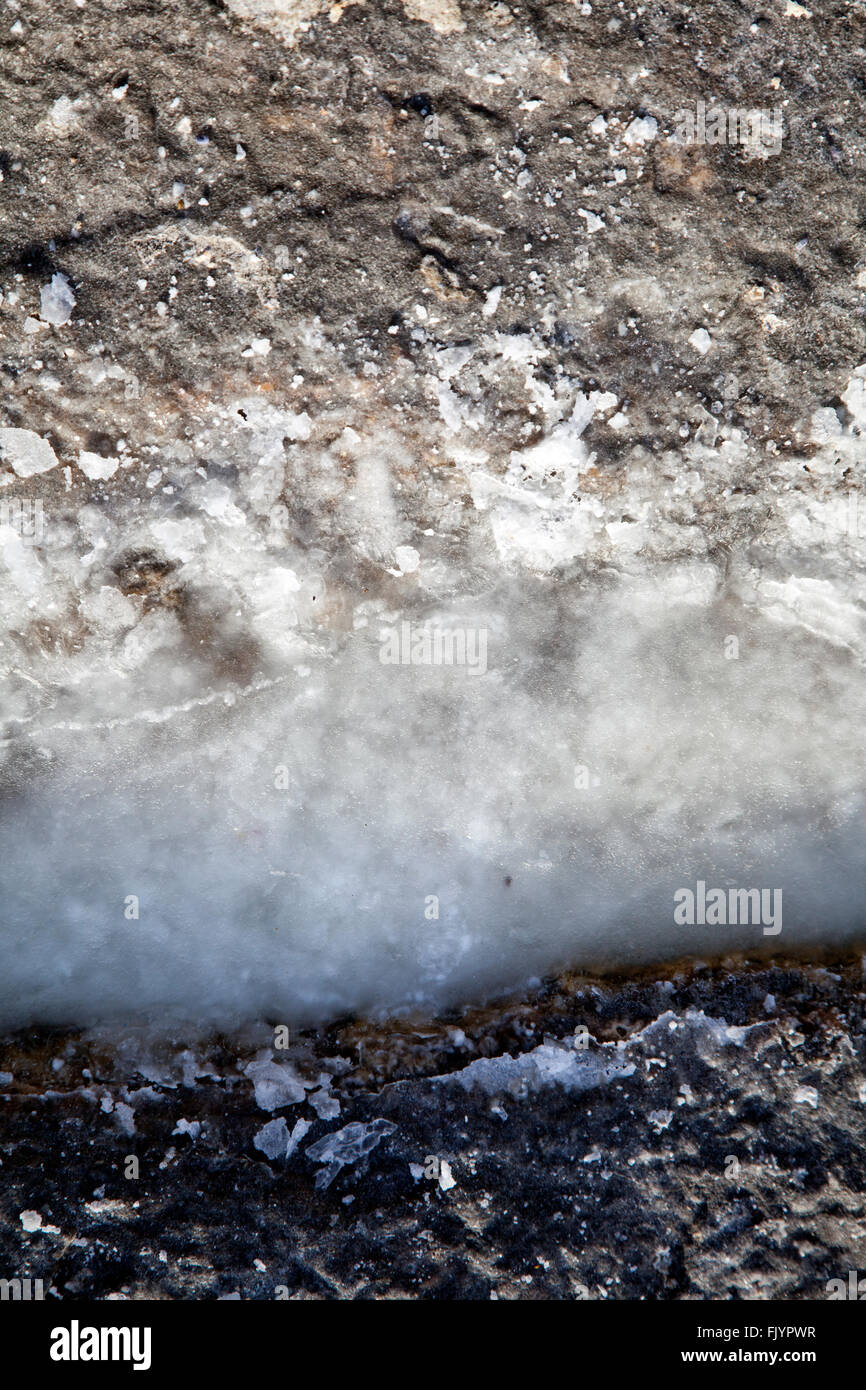 Salty Rock Pool Formations Stock Photo - Alamy