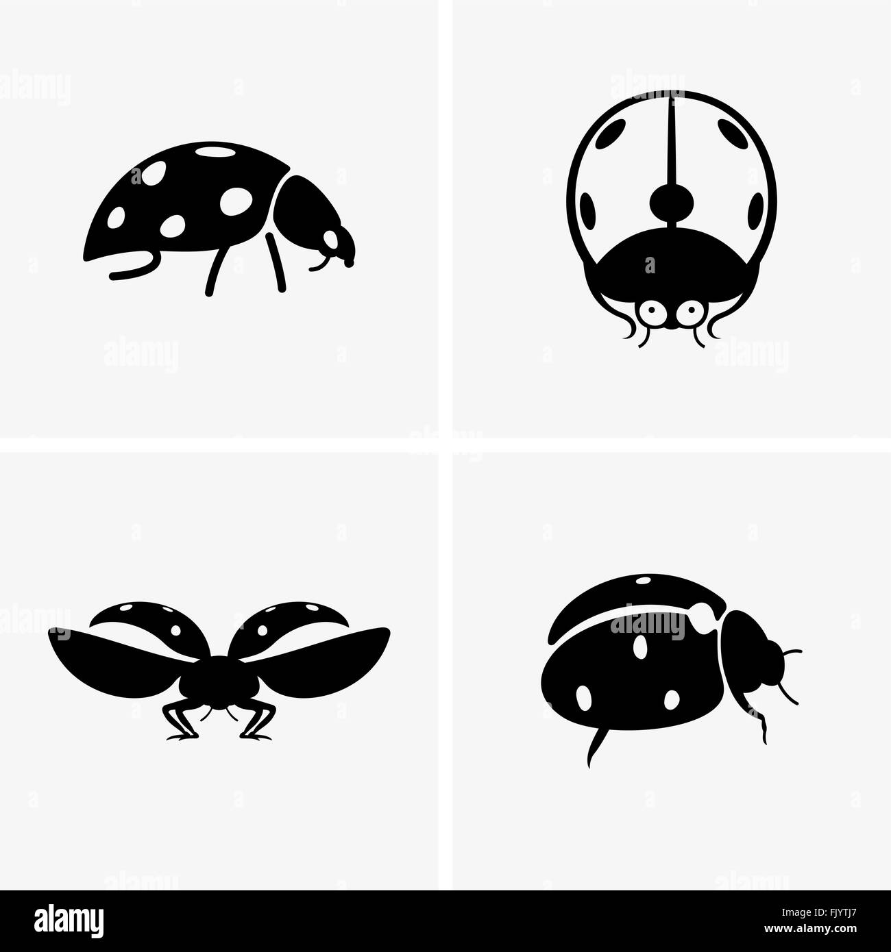 Insect pictures Black and White Stock Photos & Images - Alamy