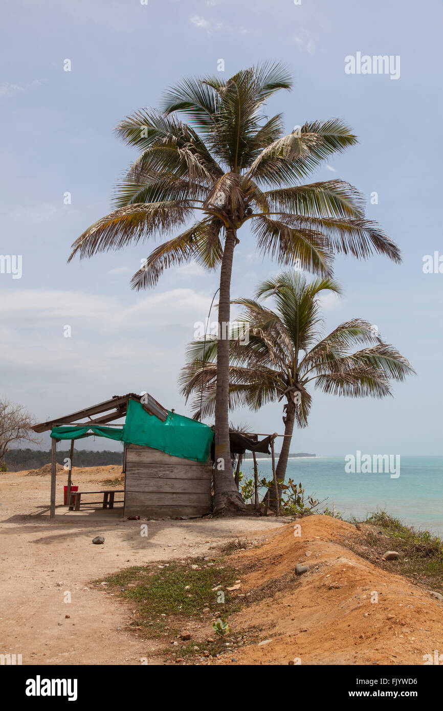 Tropical scene hi-res stock photography and images - Alamy