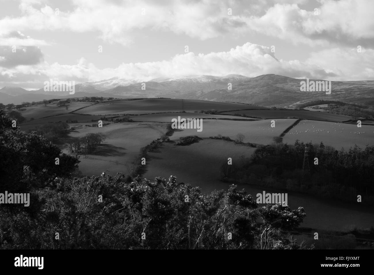 Uk country scene Black and White Stock Photos & Images - Alamy