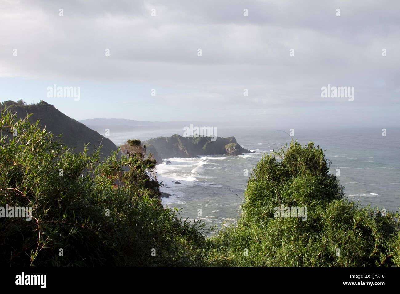 Pacific Coast of Chile, Chiloe island National Reserve Stock Photo - Alamy