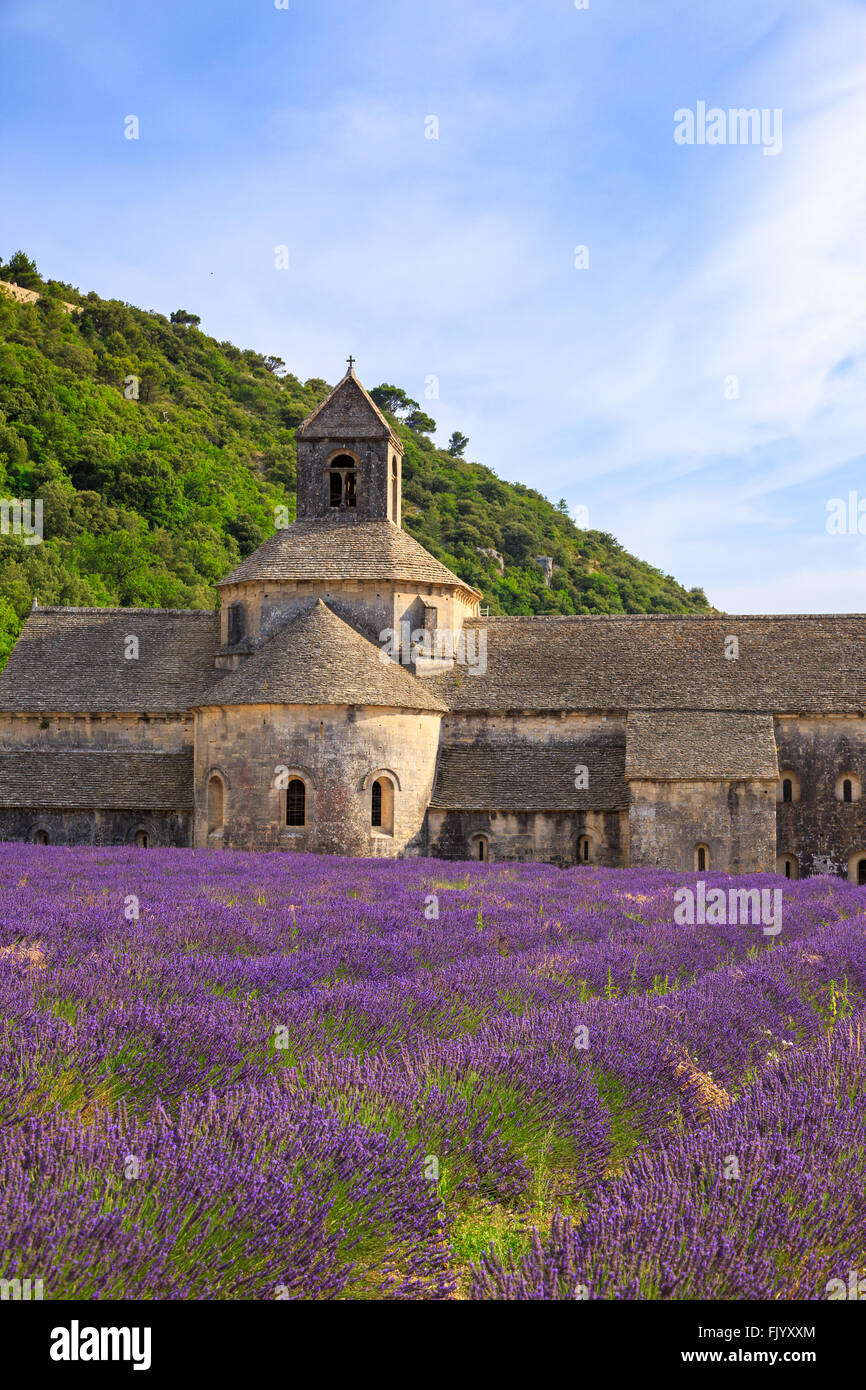 An ancient monastery Abbaye Notre-Dame de Senanque ( Abbey of Senanque ...