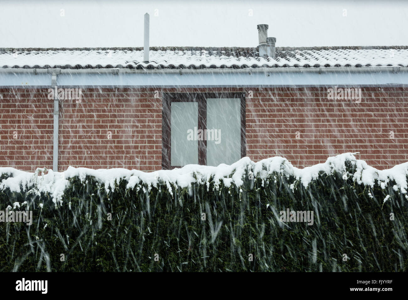 Sheffield, South Yorkshire, England, UK. 4th March 2016. Heavy snowfall ...