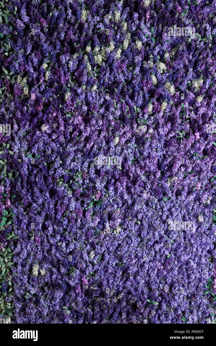 Wall of lavender flowers , artificial flowers , volumetric light ...