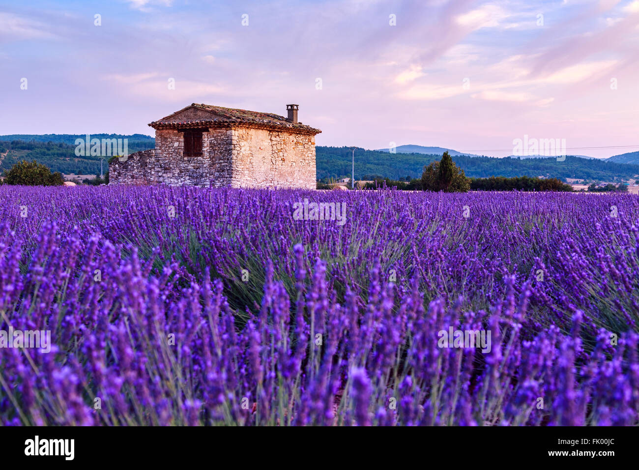 Lavender sunset field sun hi-res stock photography and images - Alamy