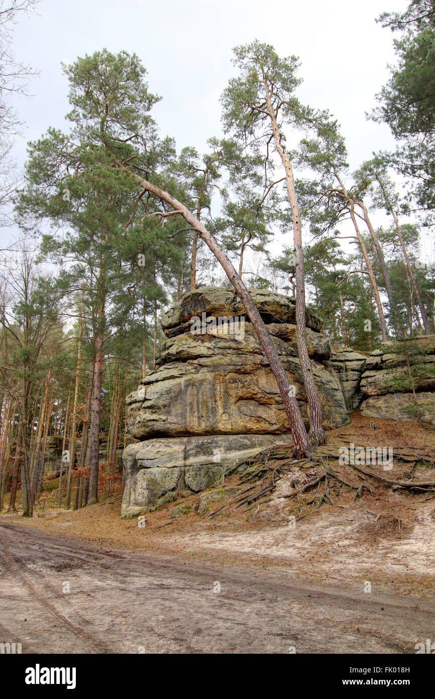 Rock formation pine trees hi-res stock photography and images - Alamy