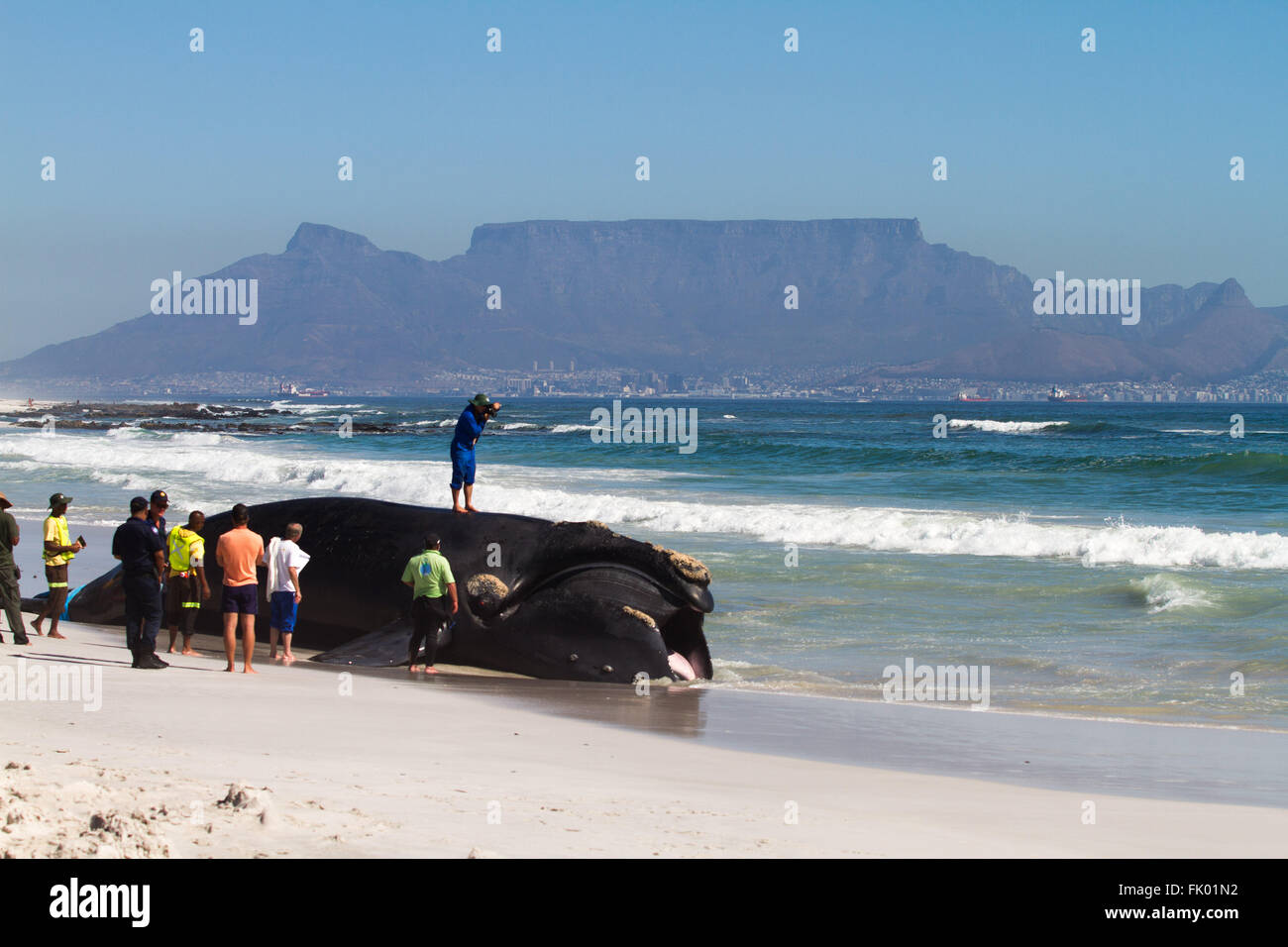Melkbosstrand, Cape Town, South Africa. 4 March 2016. Several heavy ...