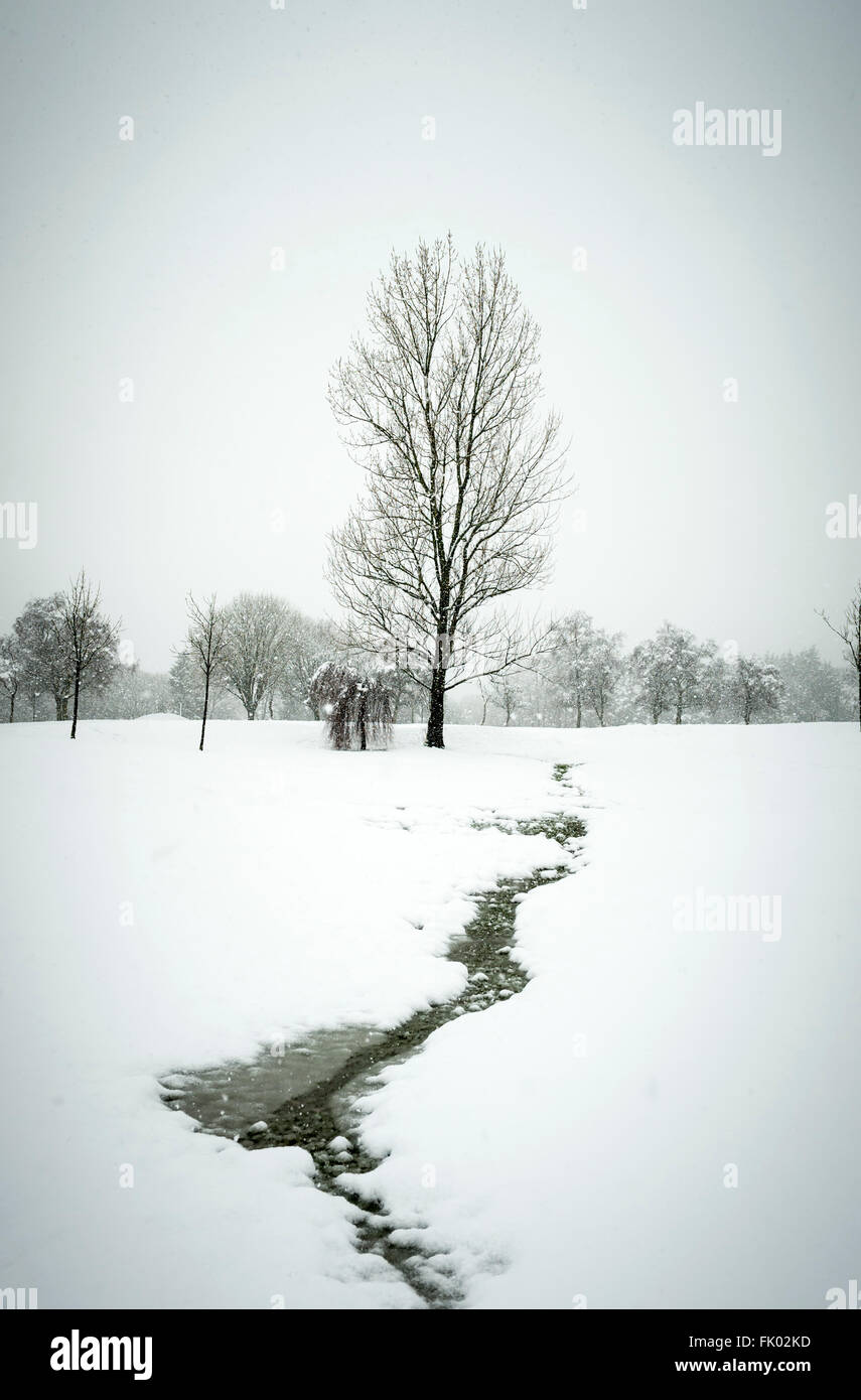 Snow stream hi-res stock photography and images - Alamy