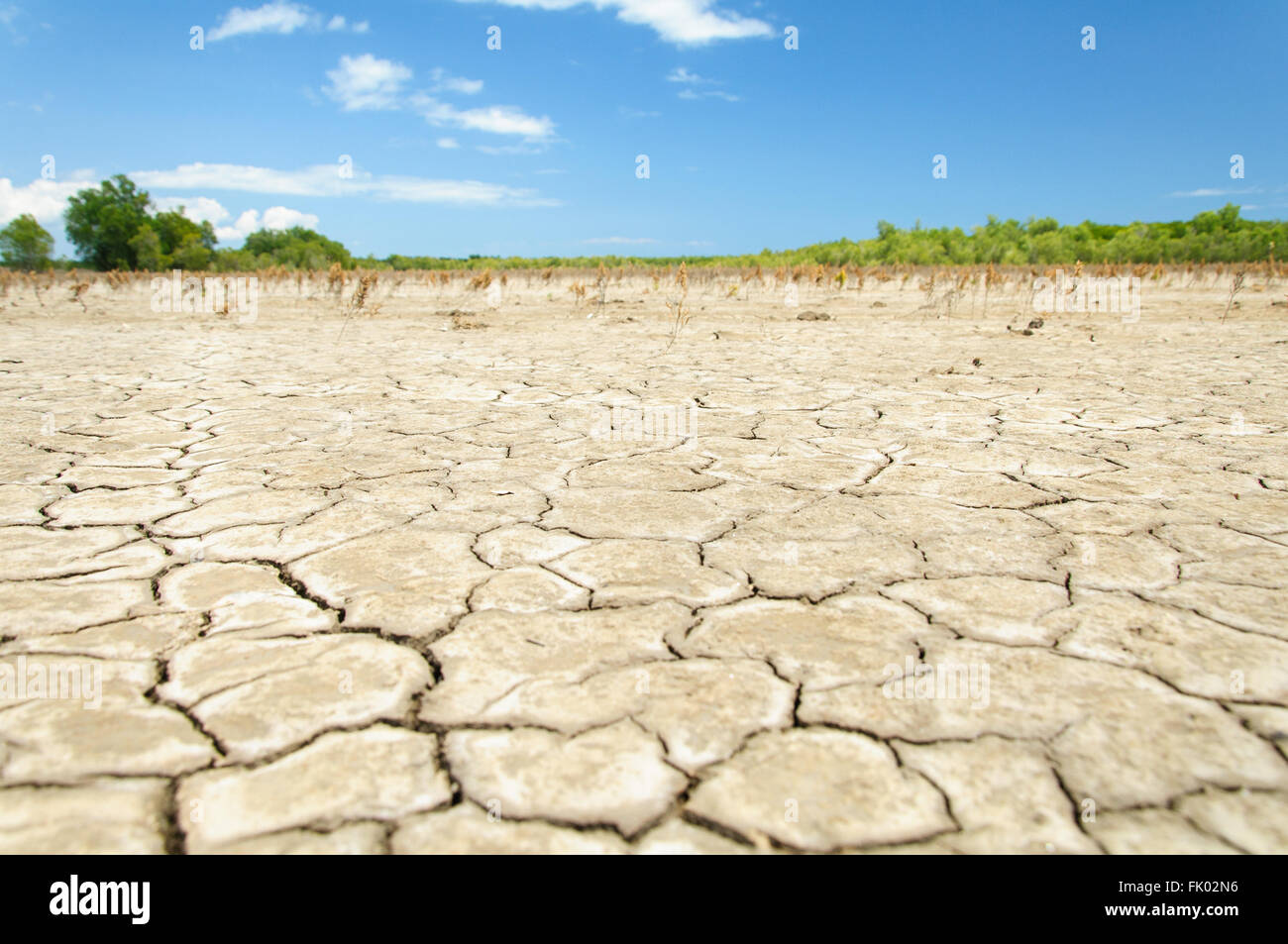 Dried out streams hi-res stock photography and images - Alamy