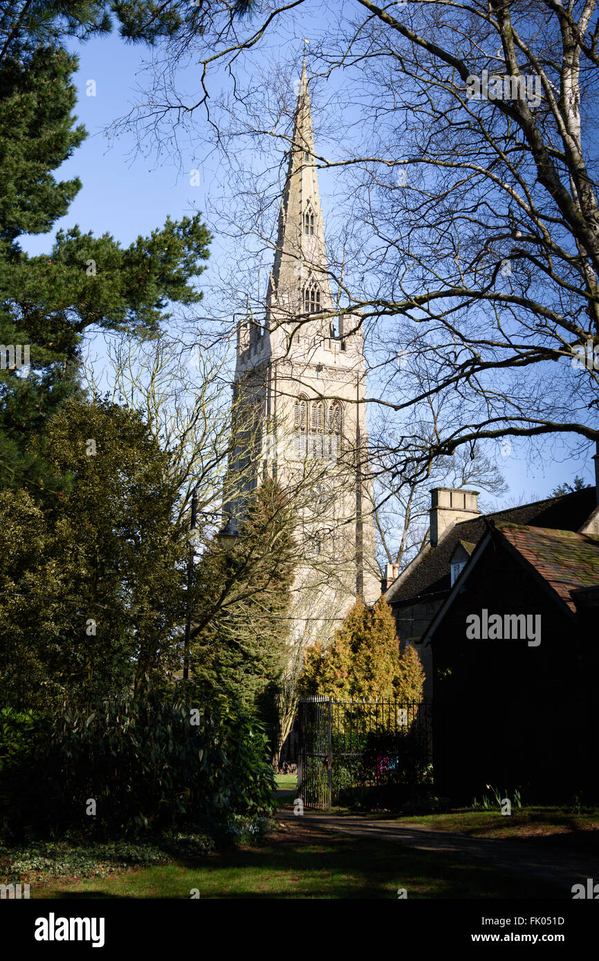 Tower and spire of St Mary's church, Kettering, England Stock Photo - Alamy