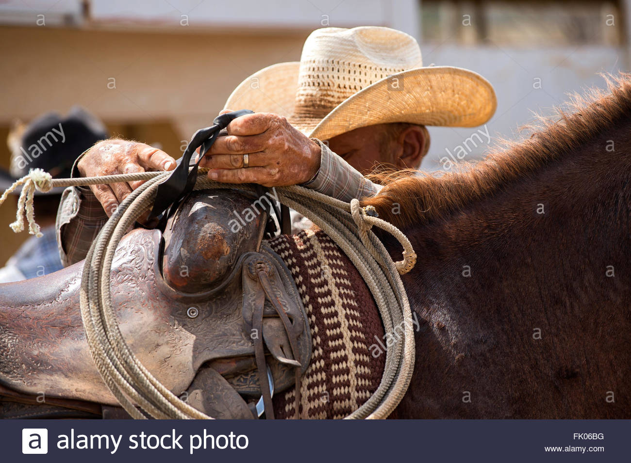 Lasso Saddle Stock Photos & Lasso Saddle Stock Images - Alamy
