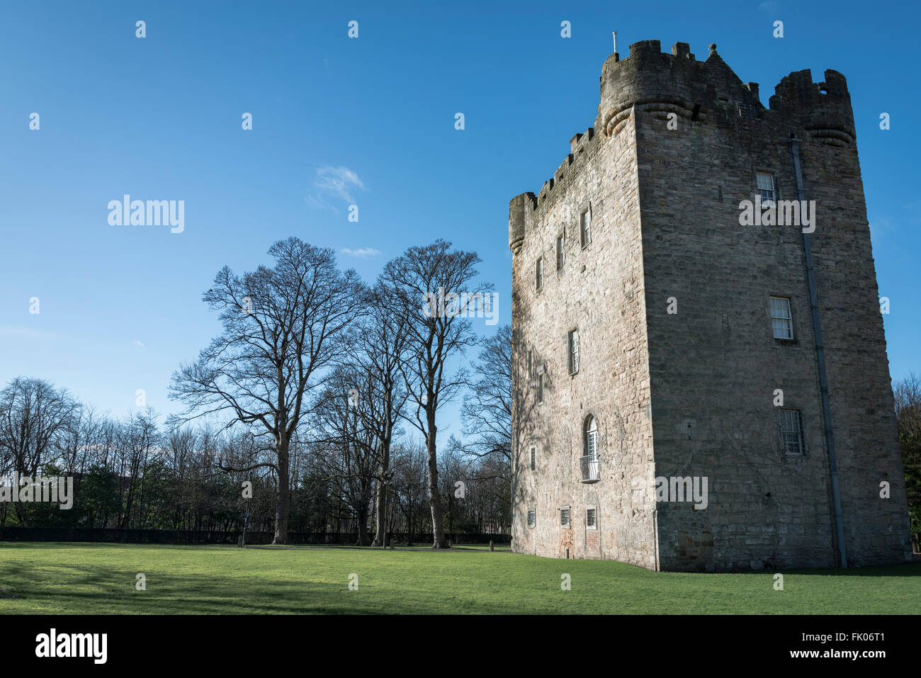 Alloa Tower in the sun Stock Photo - Alamy