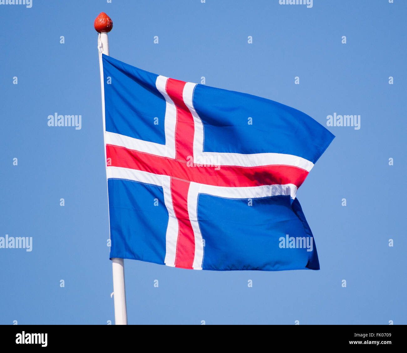 August 2, 2015 - Vigur Island, Westfjords, Iceland - The national flag ...